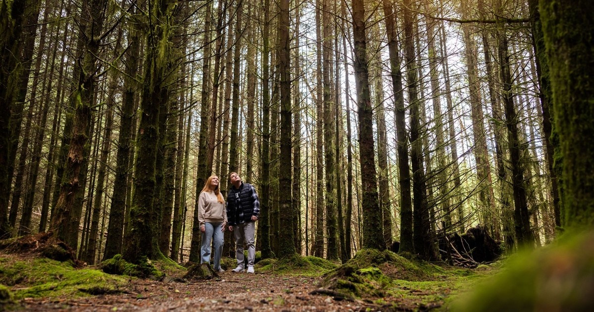 Things to do in the Forest of Bowland | Ribble Valley | VisitEngland